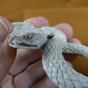 Little Rattlesnake of Shed ANTLER Figurine Bali Detailed Carving of ...