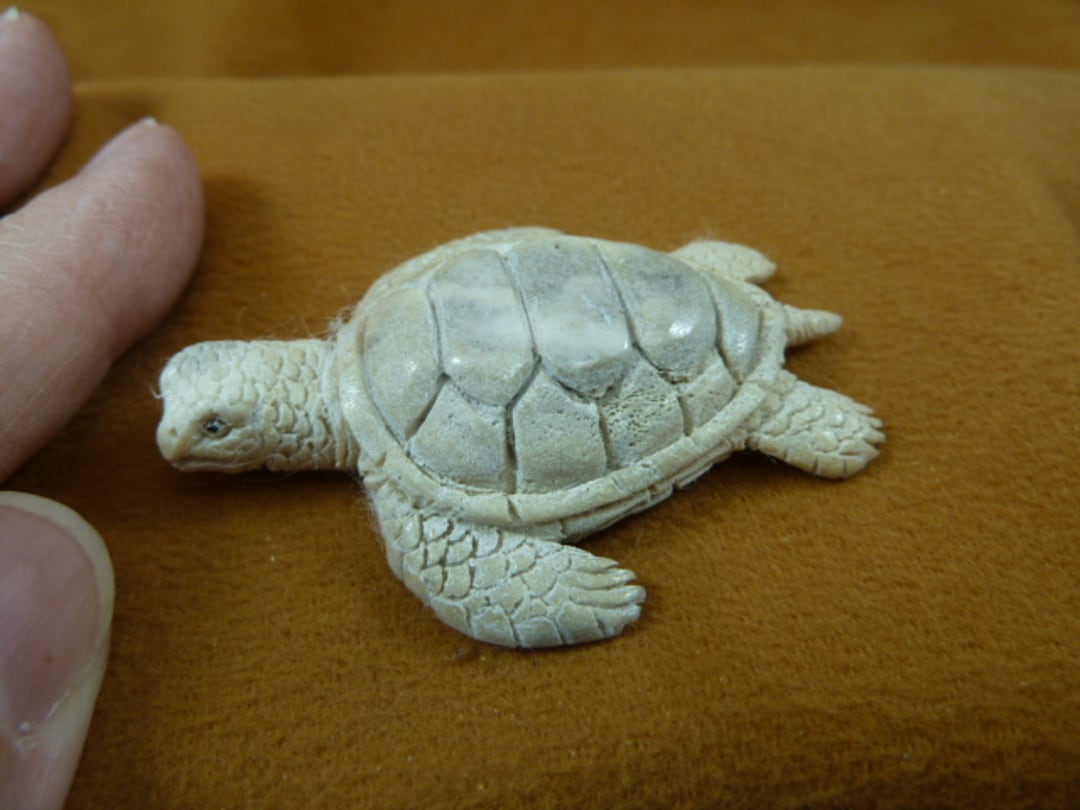Medium Sea Turtle of Shed ANTLER Figurine Bali Detailed Carving of Shed ...