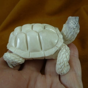Large Tortoise Turtle of Shed ANTLER Figurine Bali Detailed Carving of ...