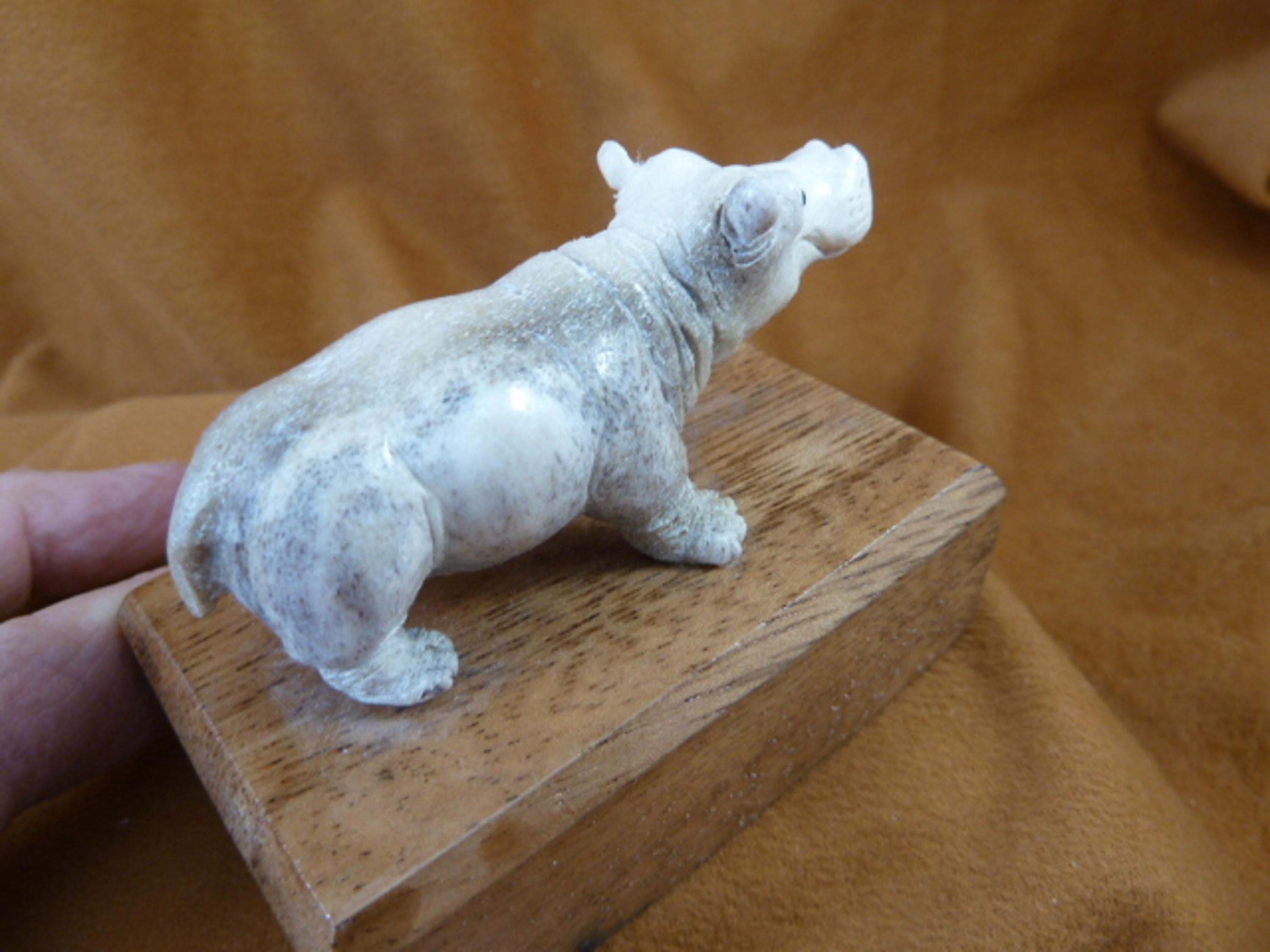 White Hippo of Shed Moose ANTLER Figurine on Wood Base Bali Detailed ...