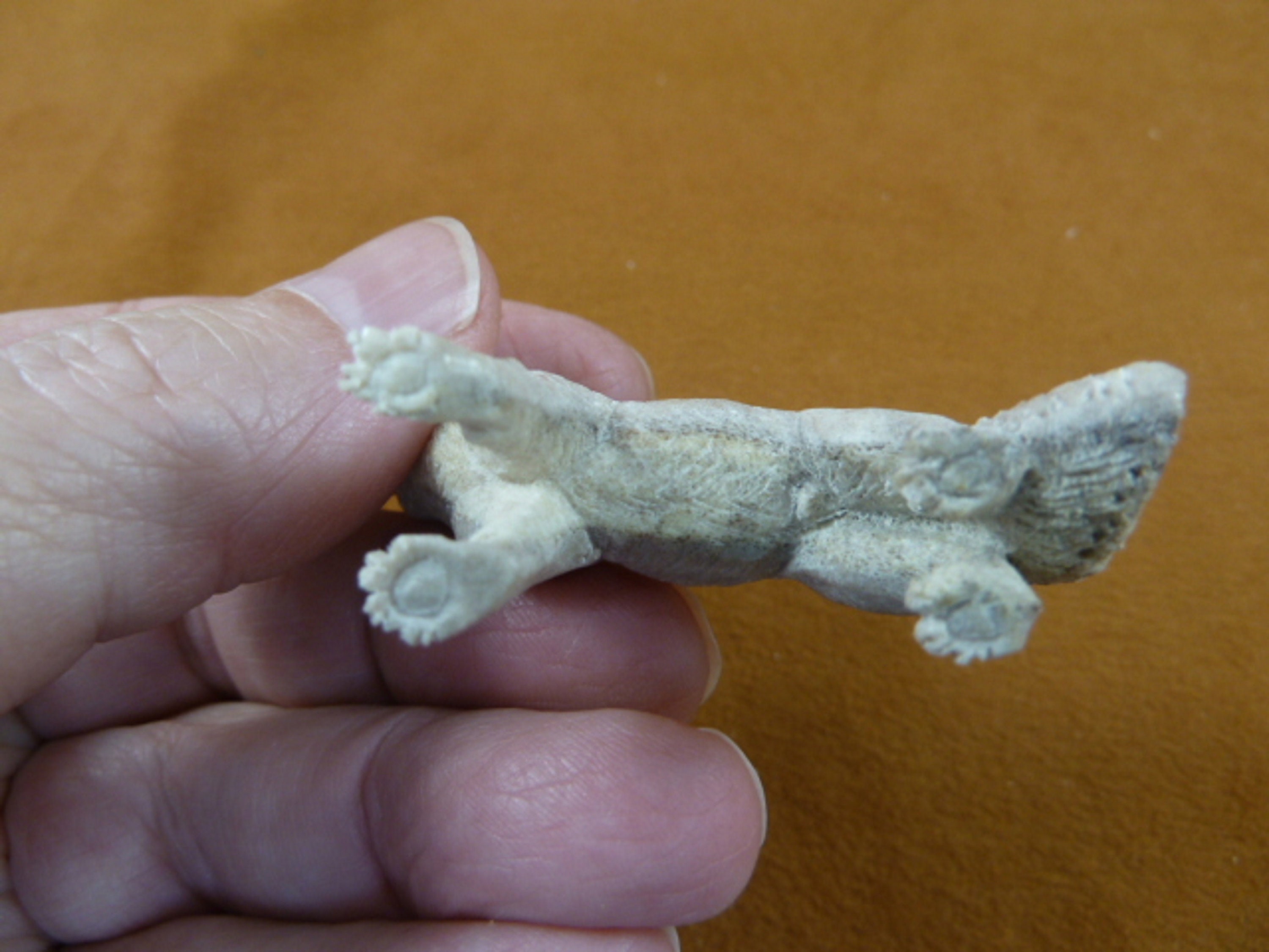 Art & Collectibles Figurines little white Rattlesnake Snake of shed ...