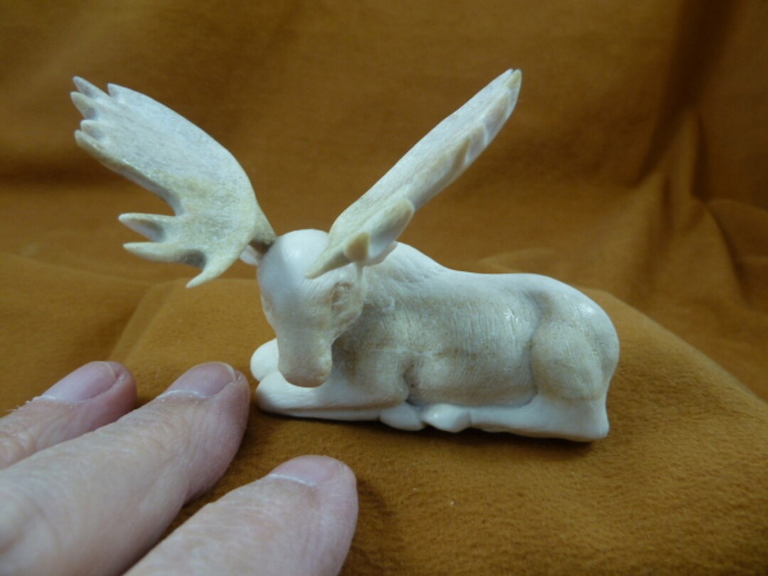 Large White Moose Elk Bull Standing of Shed ANTLER Figurine Bali ...