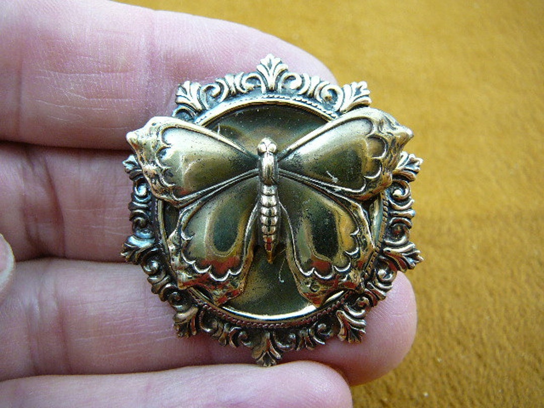 Butterfly I Love Butterflies Bugs Bug Lover Insect Circle Scrolled ...