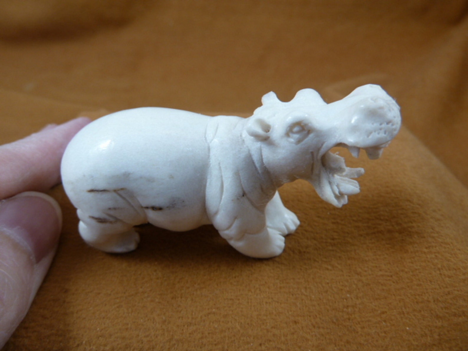 White Hippo of Shed ANTLER Figurine Bali Detailed Carving of Shed Moose ...
