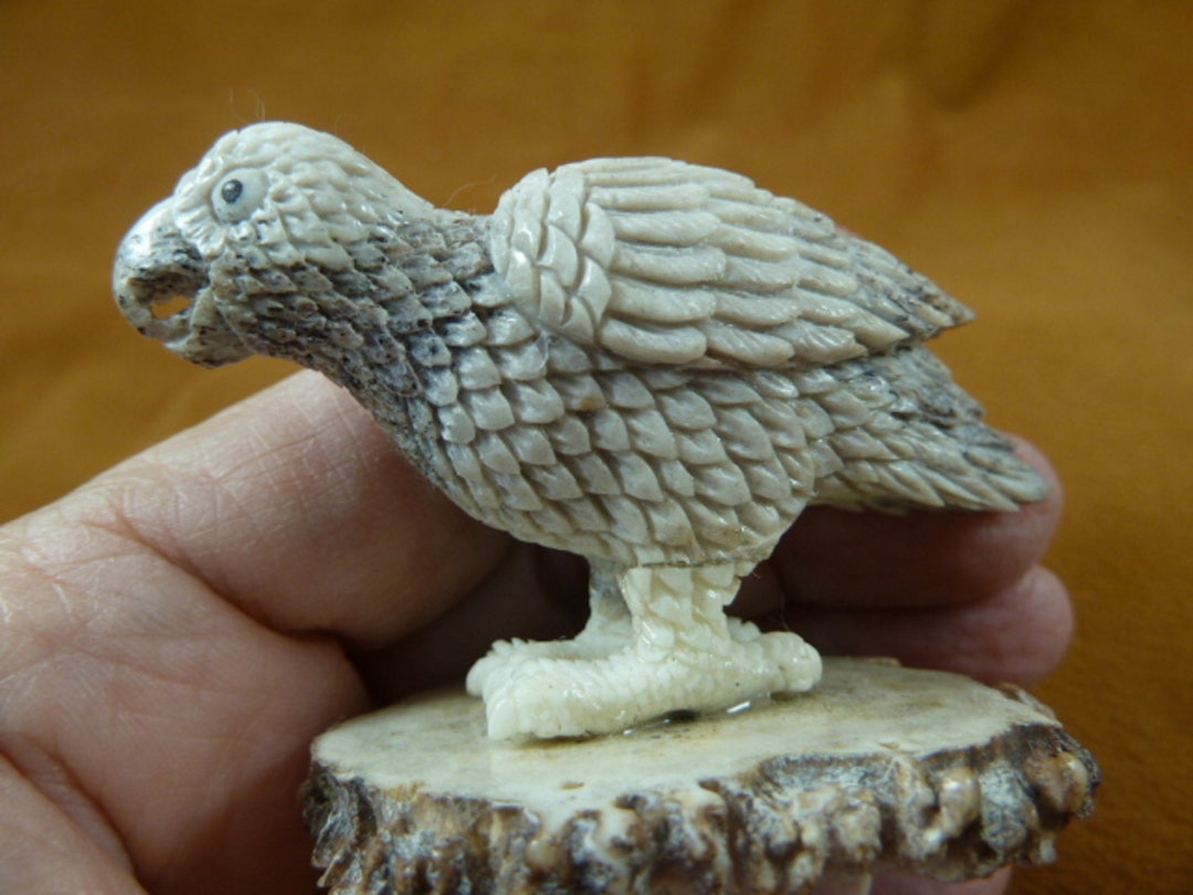Little White Parakeet Parrot Bird of Shed ANTLER Figurine Bali Detailed ...