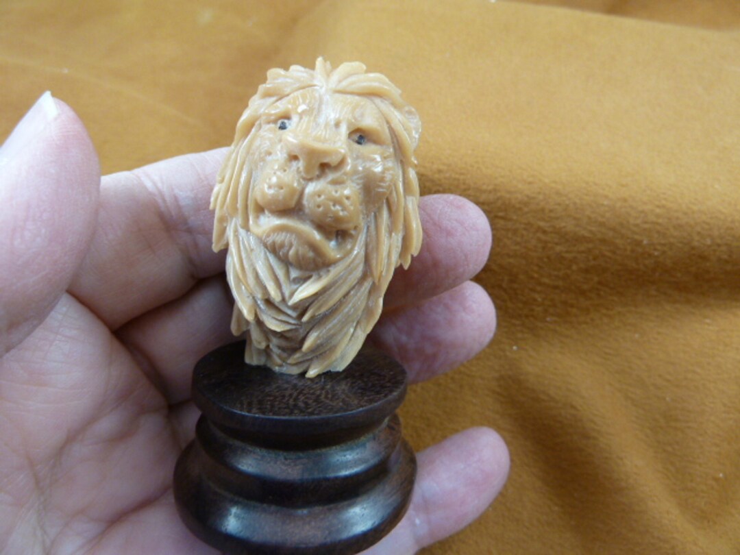 Little Tan Lion Head Tagua Nut Figurine Bali Detailed Carving Display ...