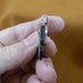 7.3 G Campo Del Cielo Meteorite Slice Pendant Widmanstatten Pattern ...