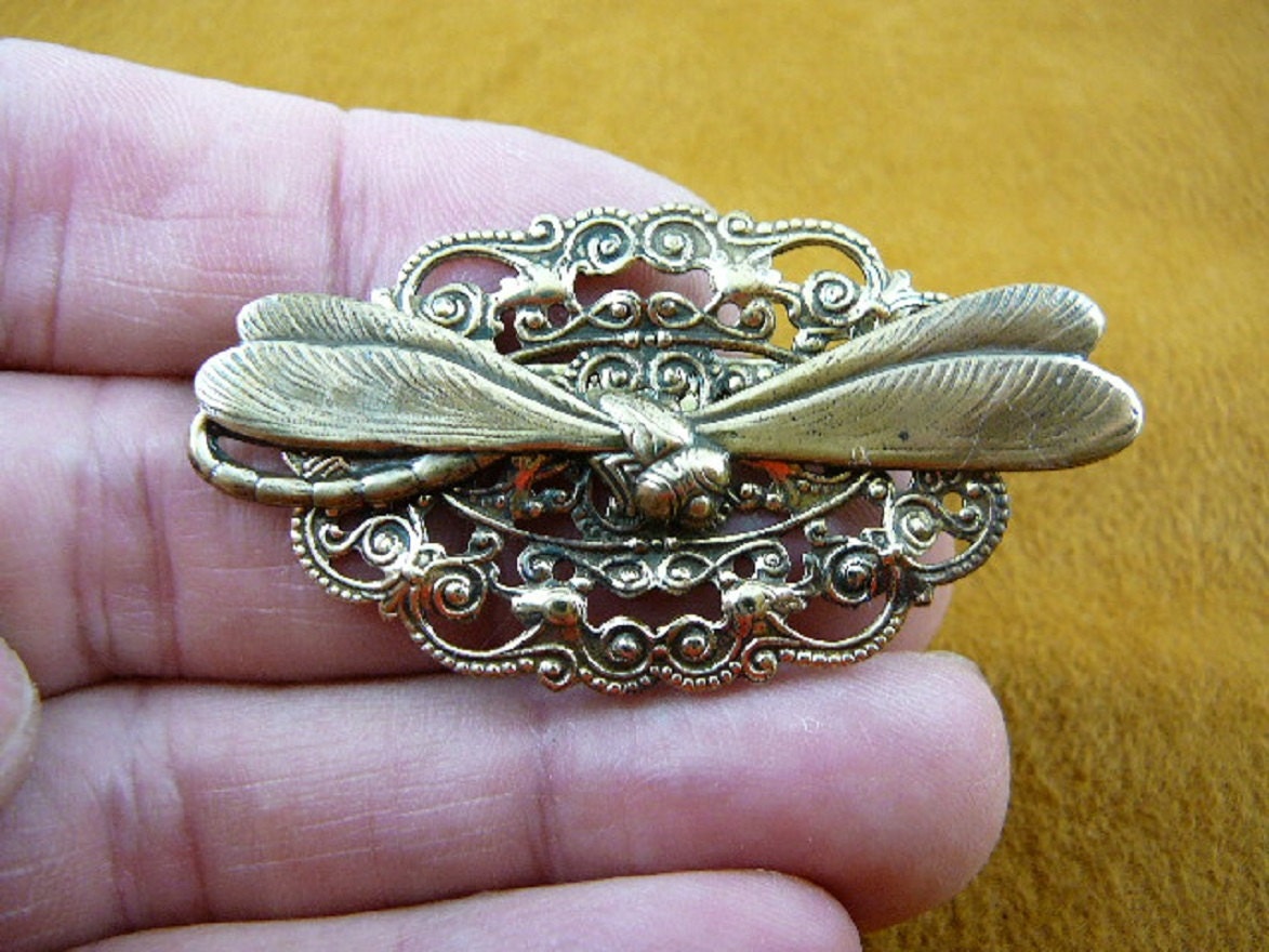 Dragonfly Insect Pond Bug Lover on Filigree Scrolled Oval - Etsy