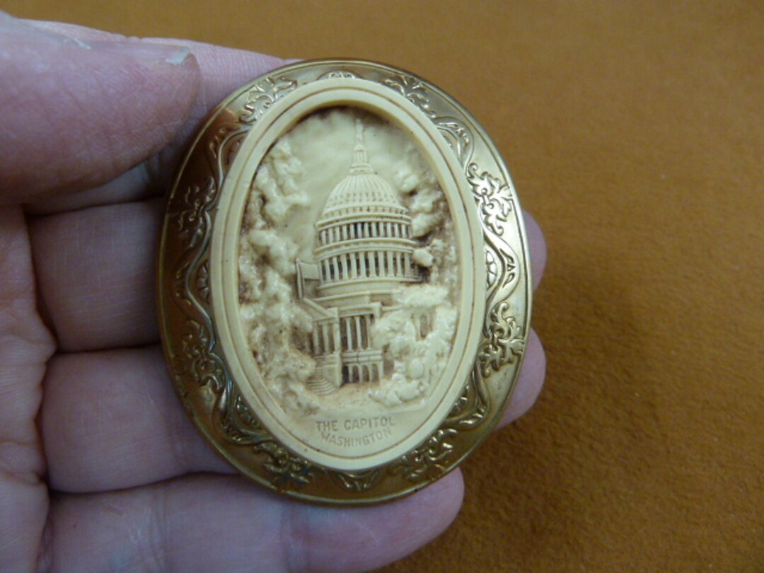 Washington DC D.C. Capitol Building Government Ivory White Oval CAMEO ...