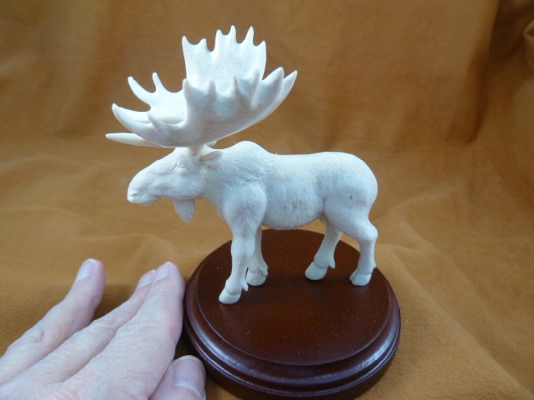 Large White Moose Elk Bull Standing of Shed ANTLER Figurine Bali ...