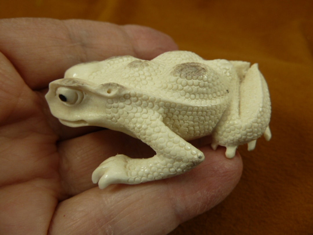 Little Frog of Shed ANTLER Figurine Bali Detailed Carving of Shed Moose ...