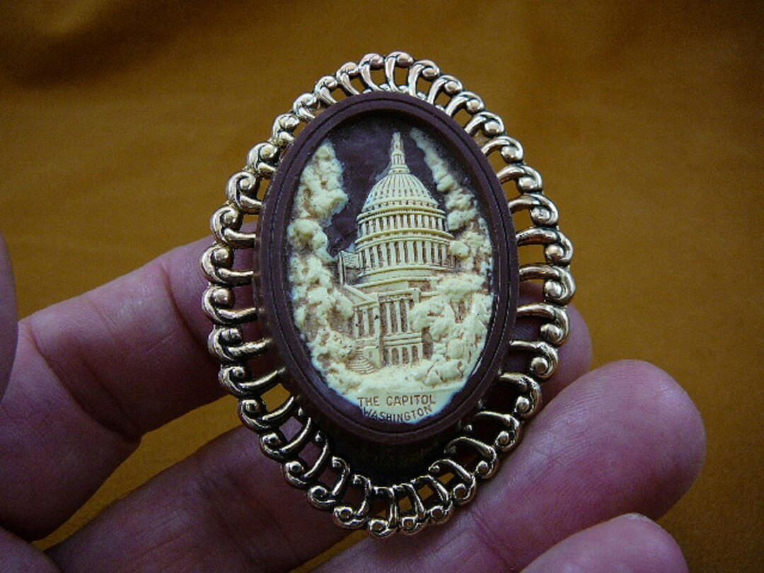 Washington DC D.C. Capitol Building Government Brown off White CAMEO ...