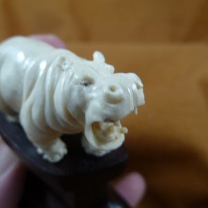 White Hippo of Shed ANTLER Figurine on Wood Base Bali Detailed Carving ...