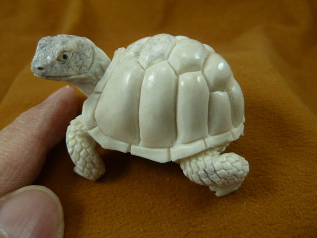 Turtle of Shed ANTLER Figurine Bali Detailed Carving of Shed Moose ...