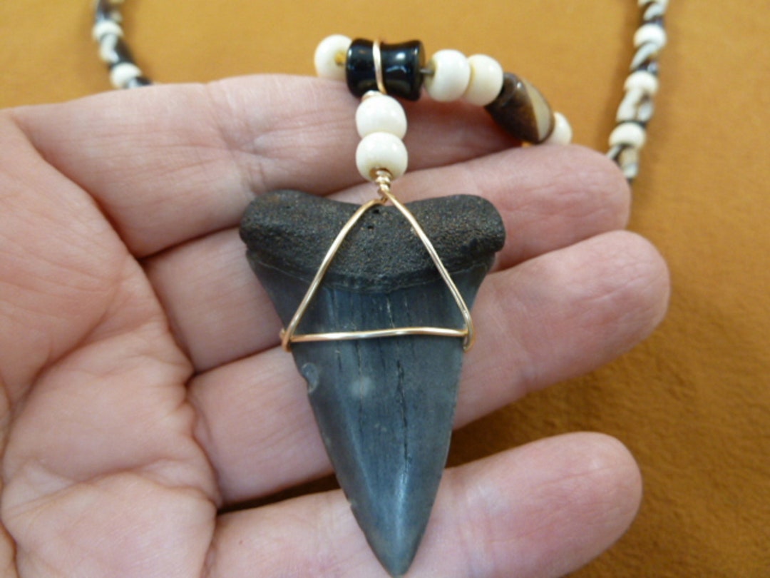 2" MAKO FOSSIL Shark Wired Tooth Brown Off-white Bone Bead Necklace ...