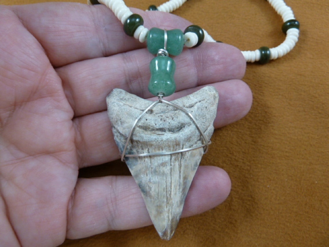 2 Inch Fossil MEGALODON Shark Tooth Green Jade Aventurine - Etsy