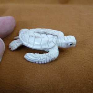 Small Sea Turtle of Shed ANTLER Figurine Bali Detailed Carving of Shed ...