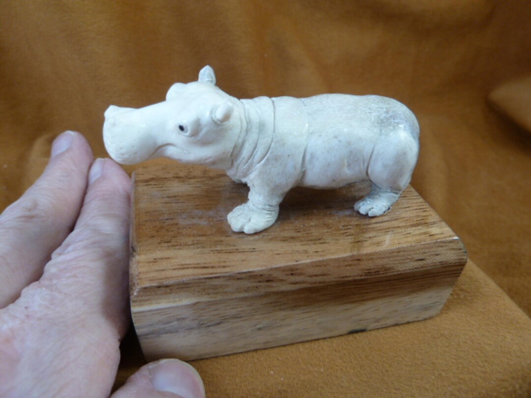 White Hippo of Shed Moose ANTLER Figurine on Wood Base Bali Detailed ...