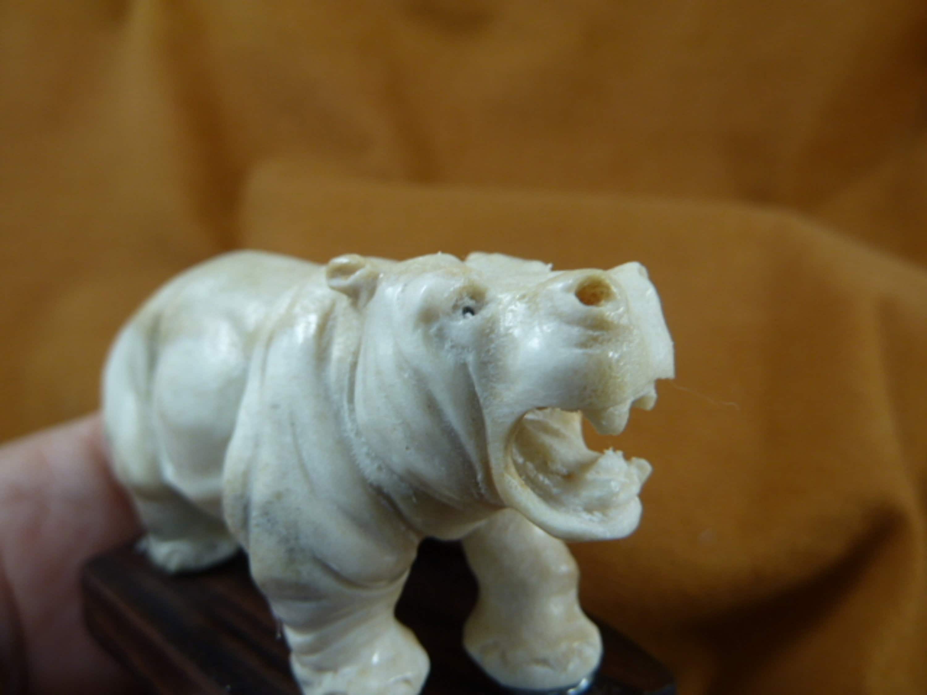 White Hippo of Shed ANTLER Figurine on Wood Base Bali Detailed Carving ...