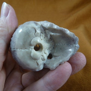 Little White Human Skull Scrolled Cranium Figurine Bali Detailed ...