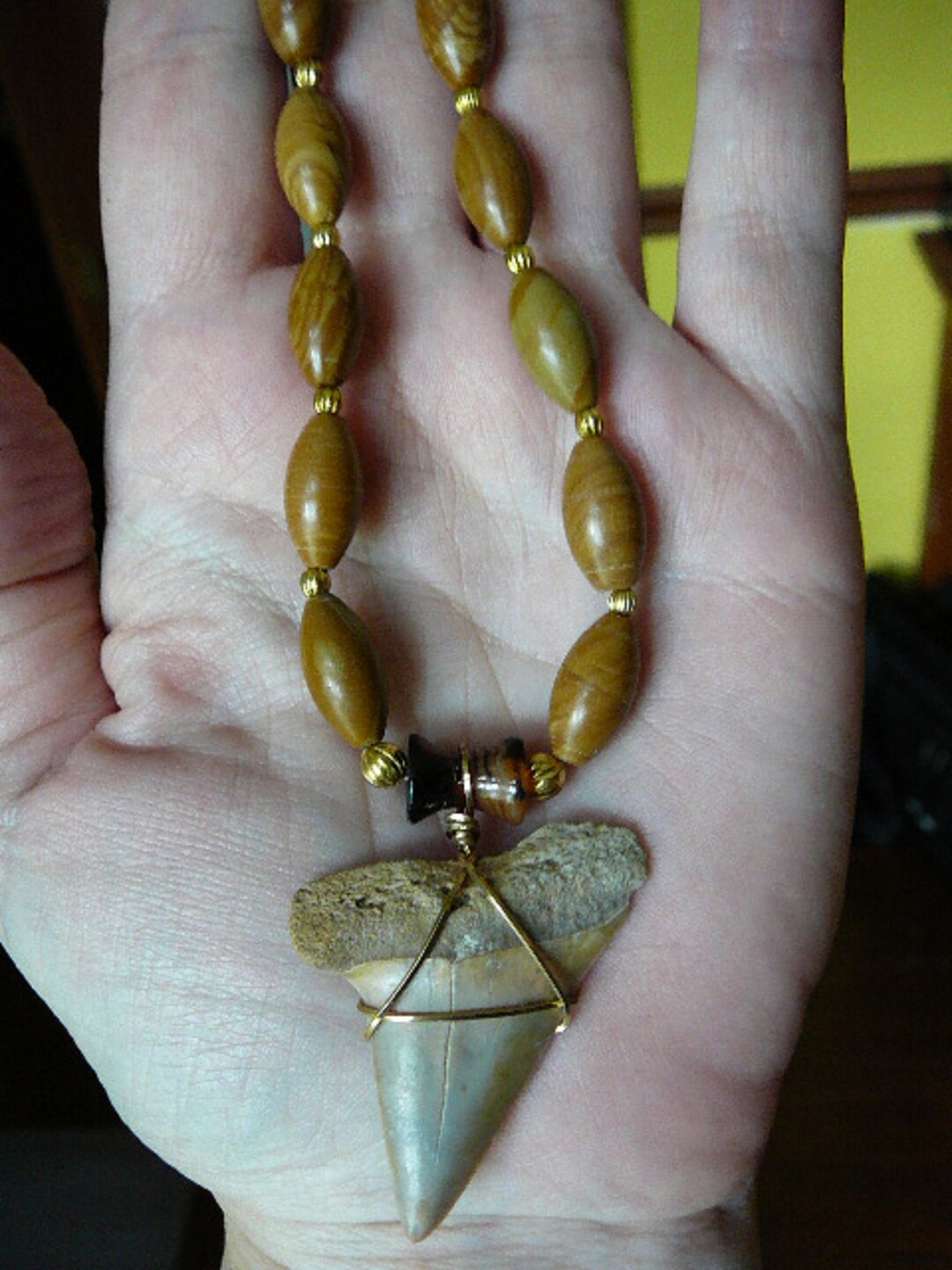 1-3/4" MAKO FOSSIL Shark Tooth Gold Tone Wired on 19" White Cow Bone ...