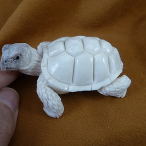 Large Tortoise Turtle of Shed ANTLER Figurine Bali Detailed Carving of ...