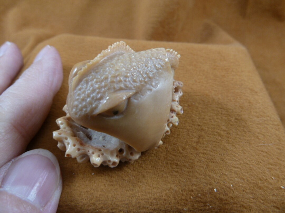 Little Tan Stingray Skate Tagua Nut Figurine Bali Detailed Carving ...