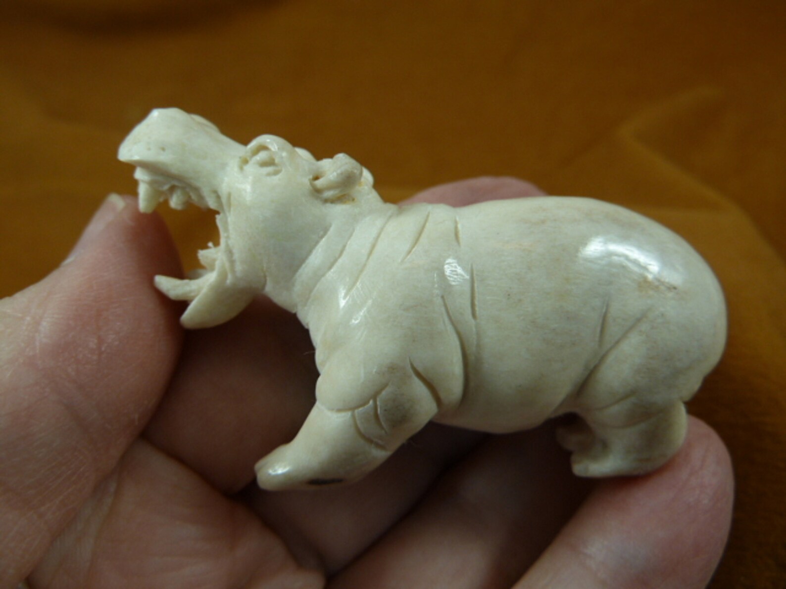 White Hippo of Shed ANTLER Figurine Bali Detailed Carving of Shed Moose ...