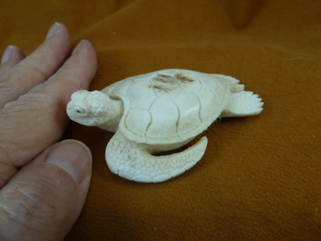 Large Sea Turtle of Shed ANTLER Figurine Bali Detailed Carving of Shed ...