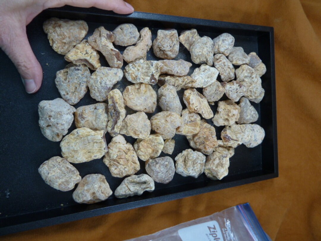 500 G Rare Kauri Tree Gum Chips Metaphysical Purposes or Burning as ...