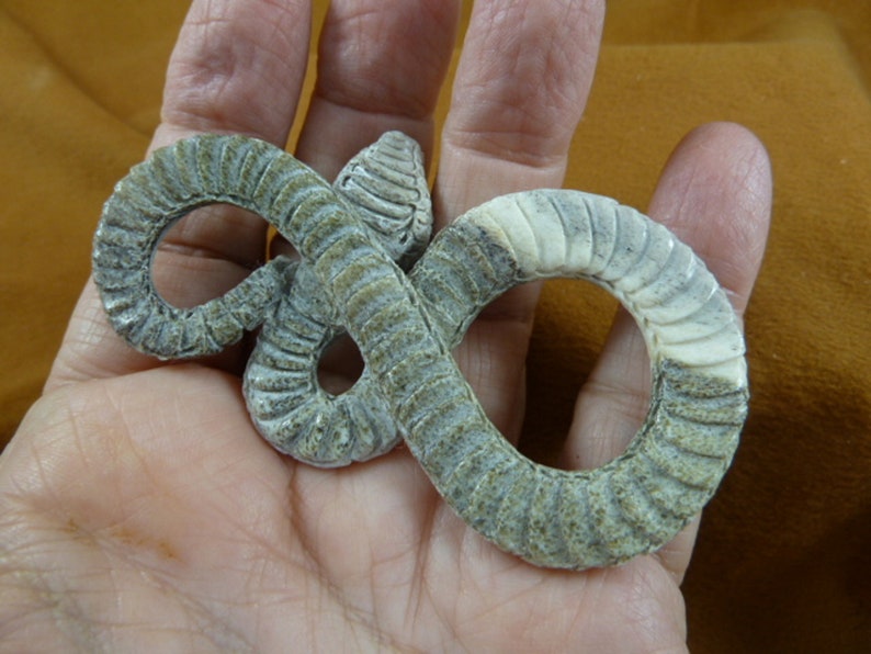 Little Rattlesnake of Shed ANTLER Figurine Bali Detailed - Etsy