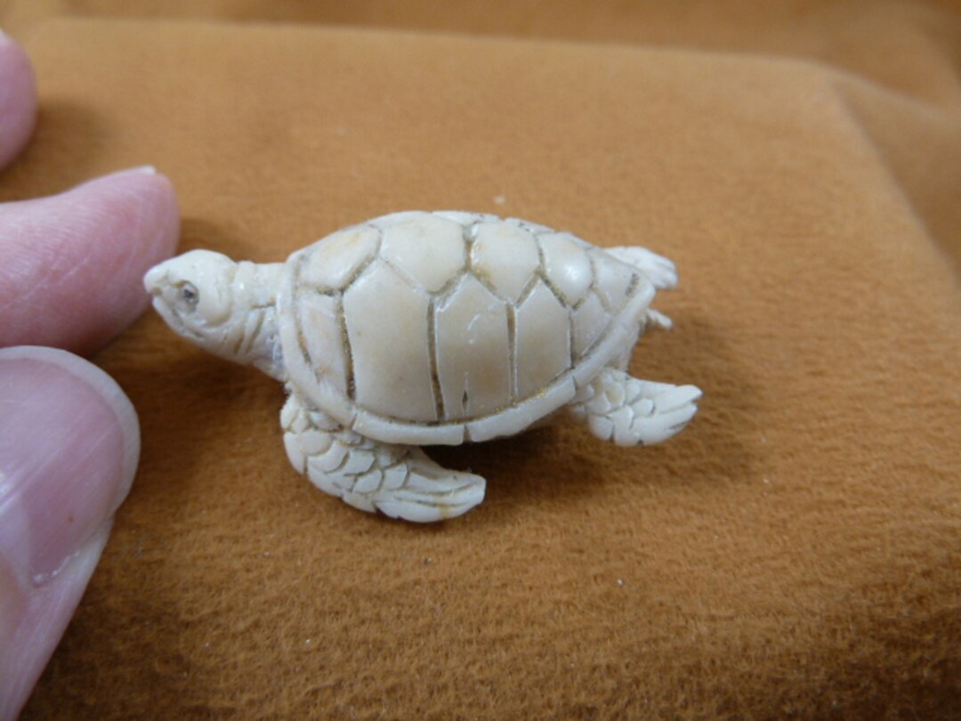 Little White Sea Turtle Tagua Nut Figurine Bali Detailed Carving ...