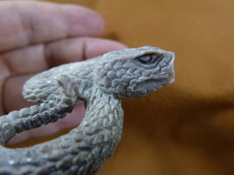 Little Rattlesnake of Shed ANTLER Figurine Bali Detailed - Etsy