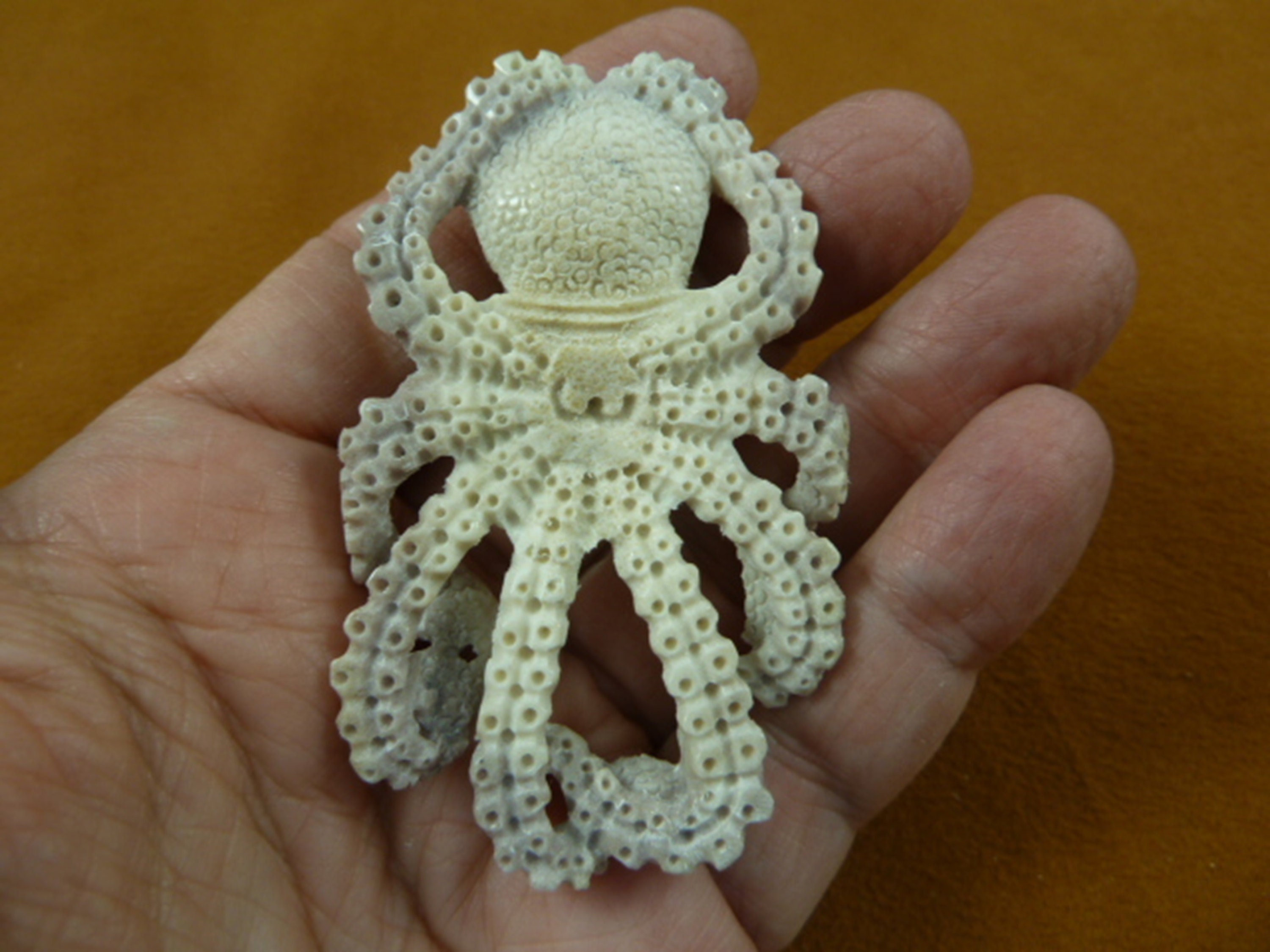Medium White Octopus of Shed ANTLER Figurine Bali Detailed Carving of ...