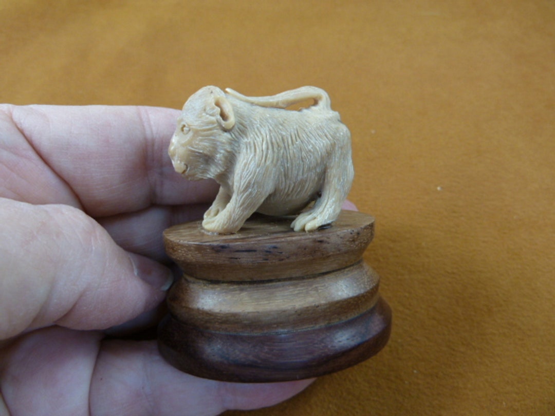 Little White Macaque Monkey Tagua Nut Figurine Bali Detailed Carving on ...