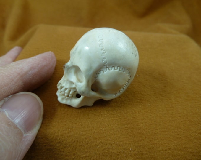 Little White Human Skull Cranium Figurine Bali Detailed Carving of Shed ...