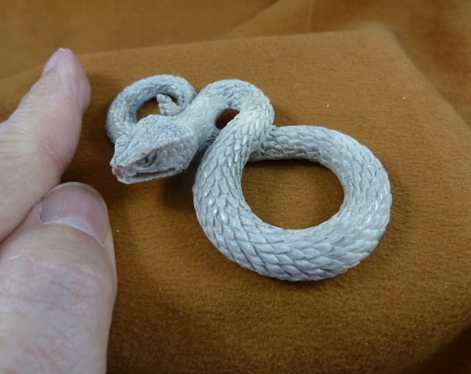 Little Rattlesnake of Shed ANTLER Figurine Bali Detailed Carving of ...