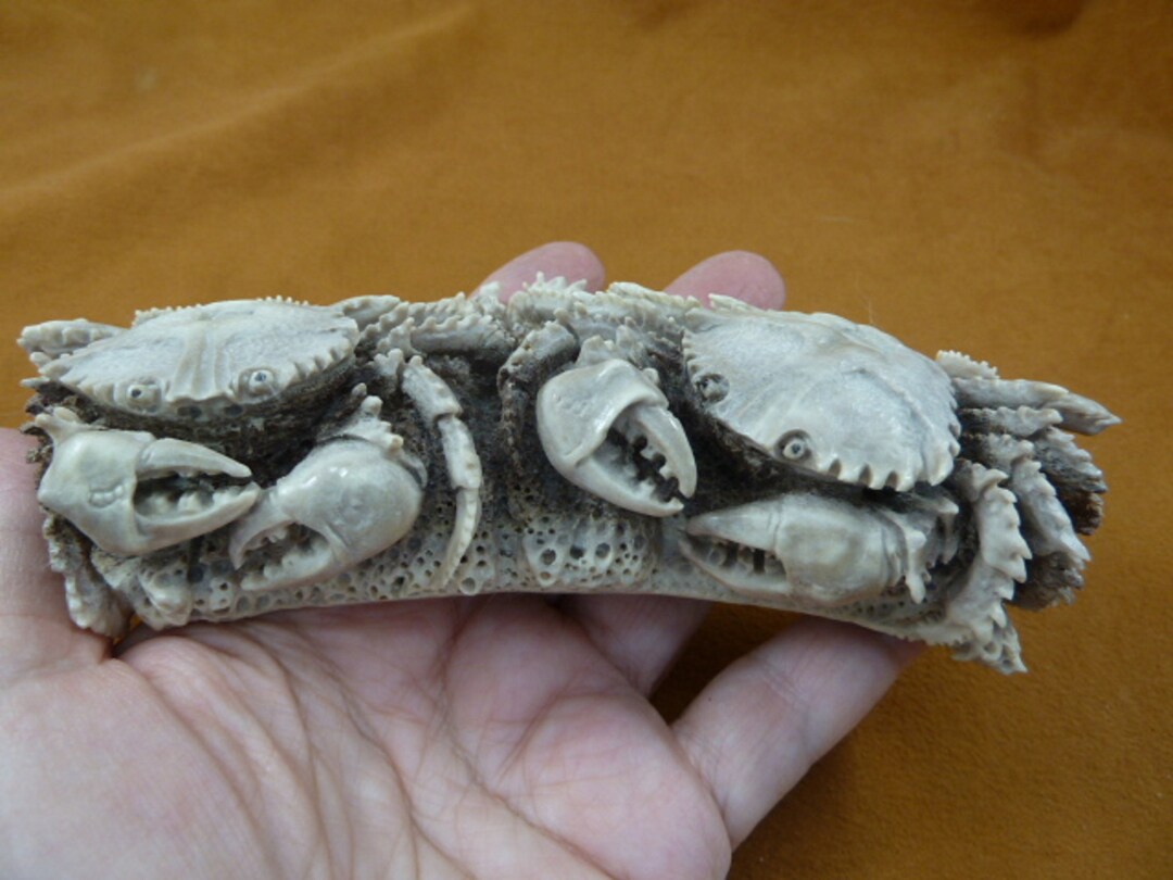 Pair of White Shore Crabs of Shed ANTLER Figurine Bali Detailed Carving ...
