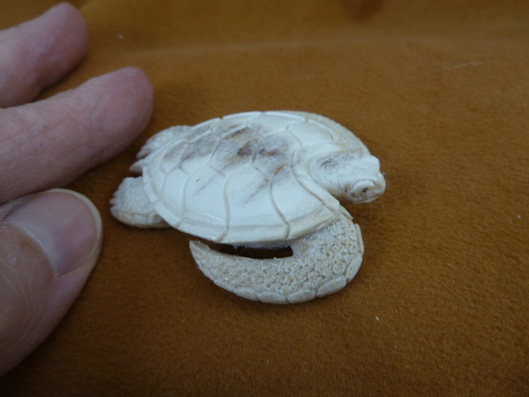 Medium Sea Turtle of Shed ANTLER Figurine Bali Detailed Carving of Shed ...