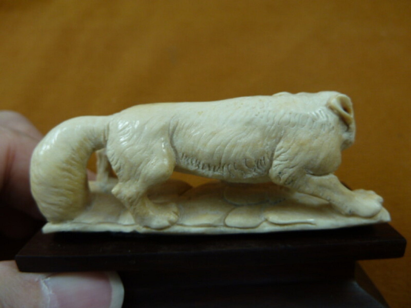 Cowering Wolf Figurine Bali Detailed Carving of Shed Moose - Etsy
