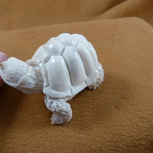 Turtle of Shed ANTLER Figurine Bali Detailed Carving of Shed Moose ...