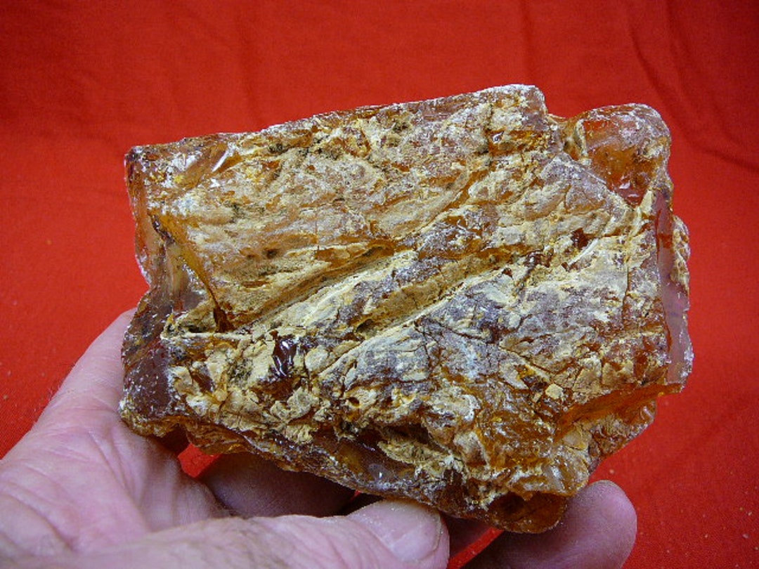 165 G Rare Kauri Tree Gum Nugget Make Your Own Jewelry Young Copal ...