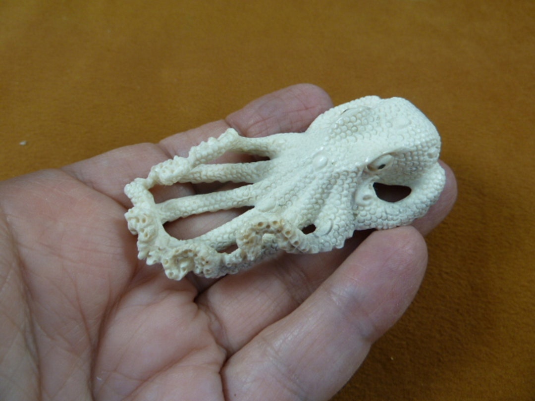 Medium White Octopus of Shed ANTLER Figurine Bali Detailed Carving of ...