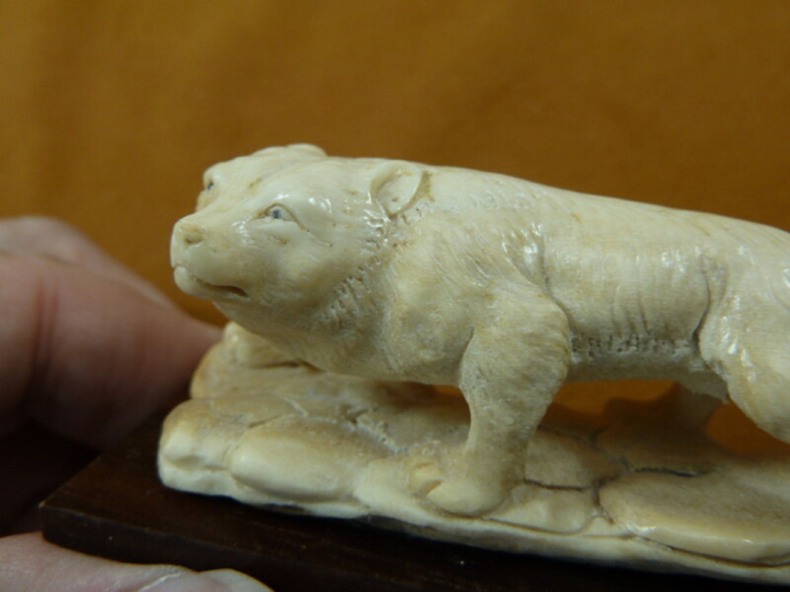 Cowering Wolf Figurine Bali Detailed Carving of Shed Moose - Etsy