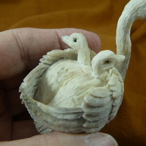 Little Swan of Shed ANTLER Figurine Bali Detailed Carving of Shed Moose ...