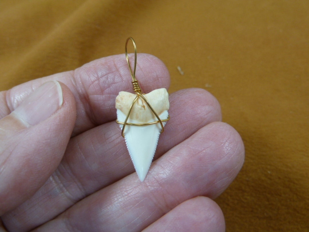 7/8 Inch White Modern Speartooth Shark Tooth Teeth Pendant Gold Tone ...