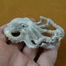Medium/large White Octopus of Shed ANTLER Figurine Bali Detailed ...