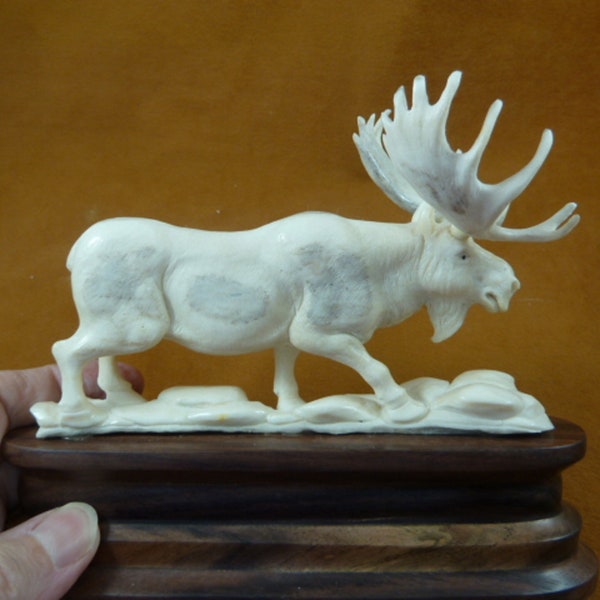 Moose Antler Carving - Etsy