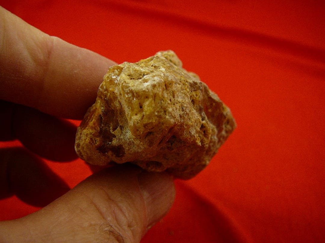 55 G Rare Kauri Tree Gum Nugget Make Your Own Jewelry Young Copal Amber ...