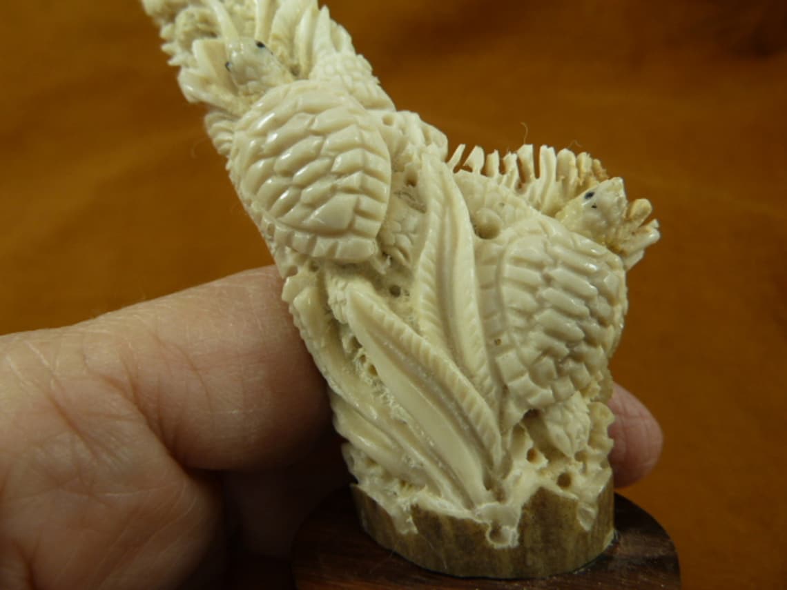 Six Sea Turtles Seaweed of Shed ANTLER Figurine Bali - Etsy